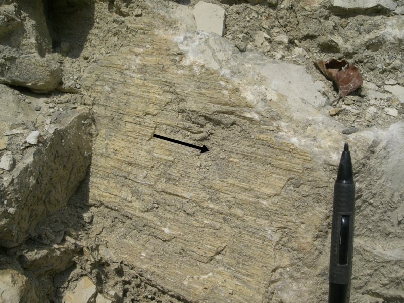 Paleostress CEBS: GFZ