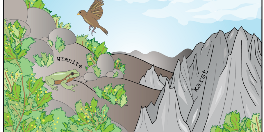 Influence of rock types on vegetation density and biodiversity: GFZ