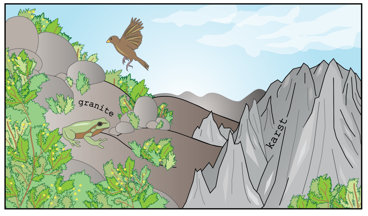 Influence of rock types on vegetation density and biodiversity: GFZ
