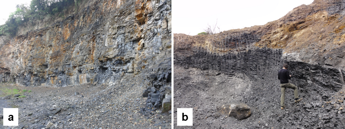 Shale Gas in the Sichuan Basin: GFZ
