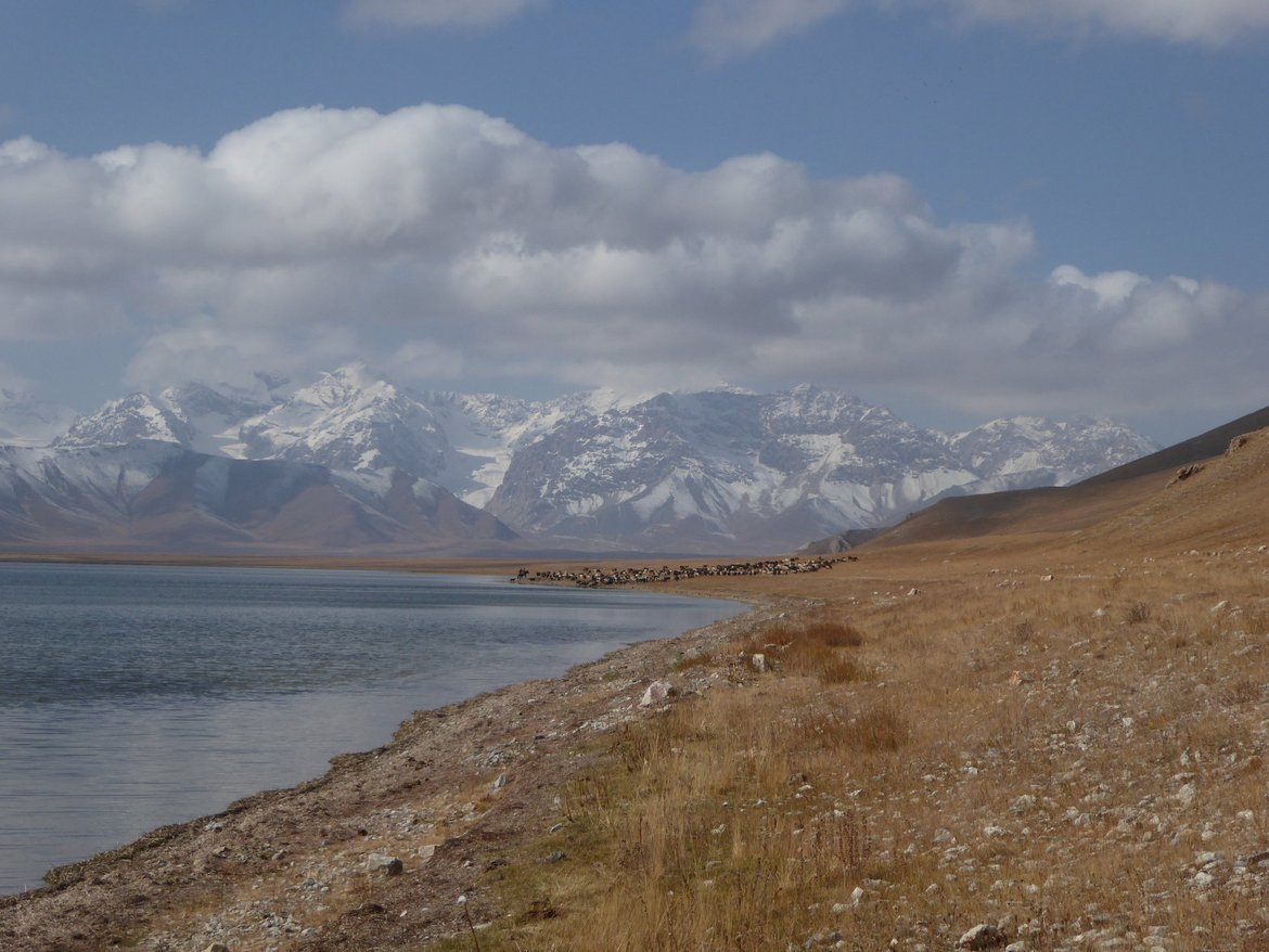 CAHOL - Central Asian HOLocene Climate: GFZ