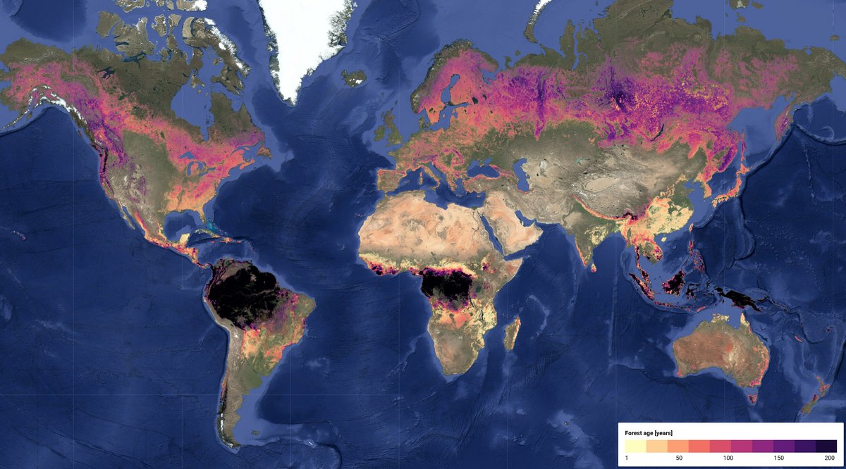 Forest disturbances are reshaping the world’s carbon balance: GFZ
