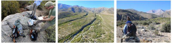 Sediment Routing in Mountain Catchment-alluvial Fan Systems: GFZ