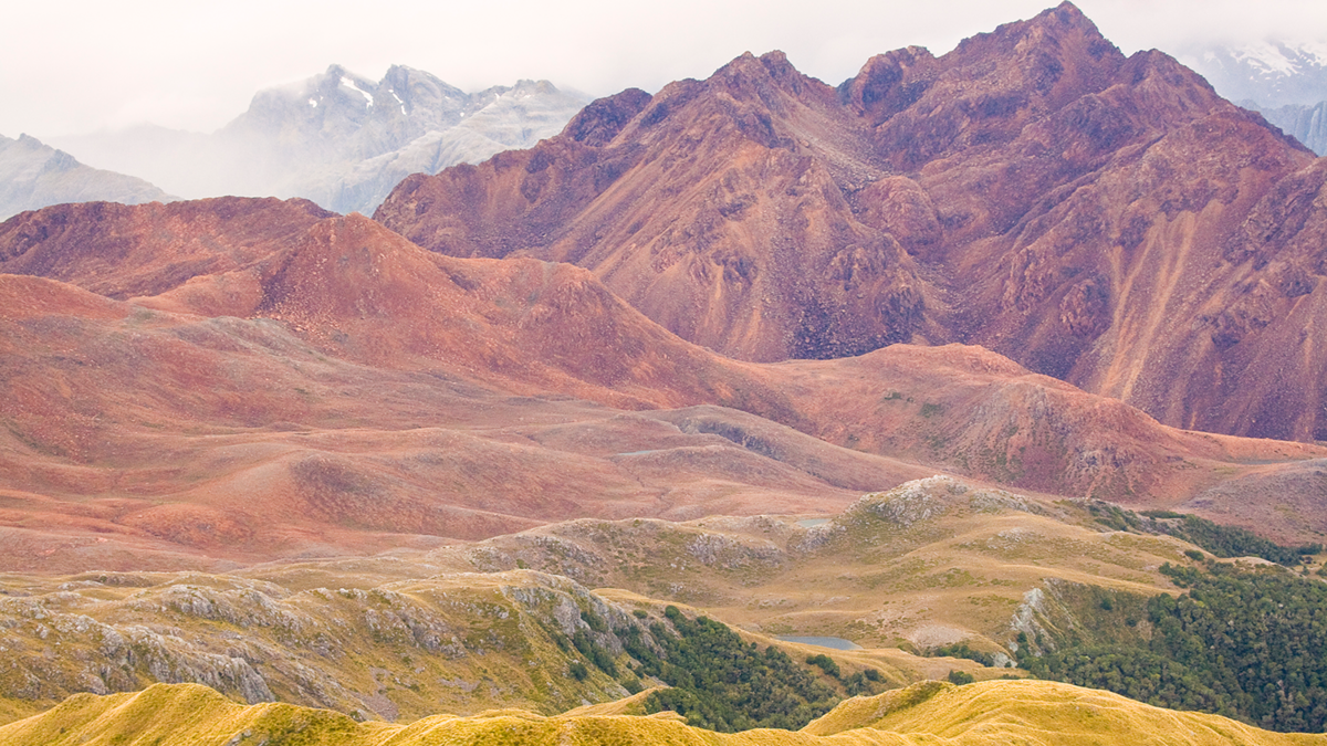 Einfluss des Gesteinsuntergrunds auf Vegetationsdichte und ...