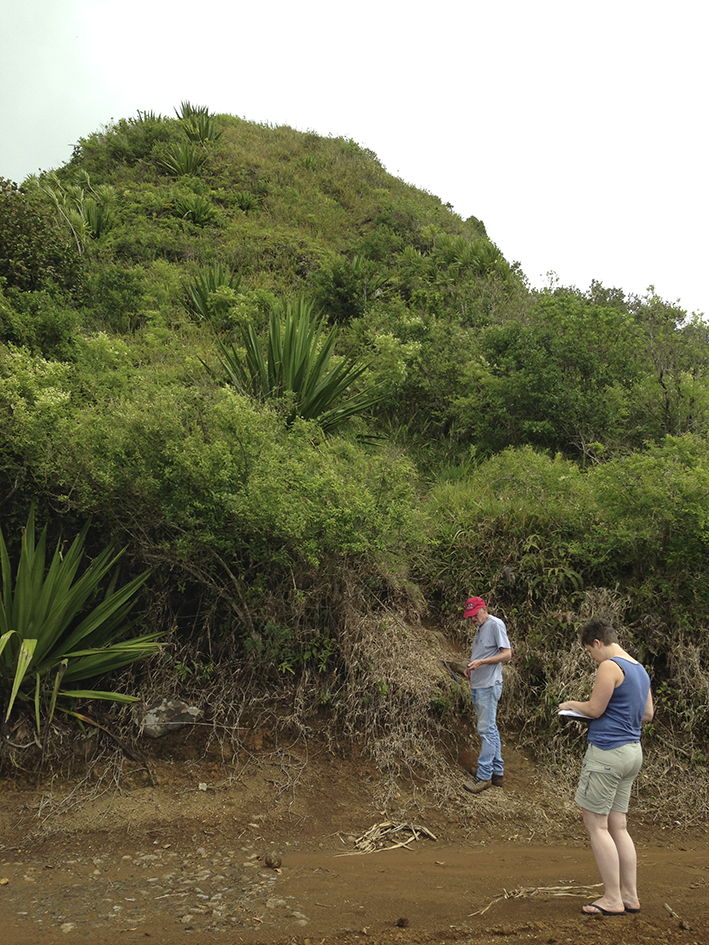 Uralter Kontinent unter der Tropeninsel Mauritius: GFZ